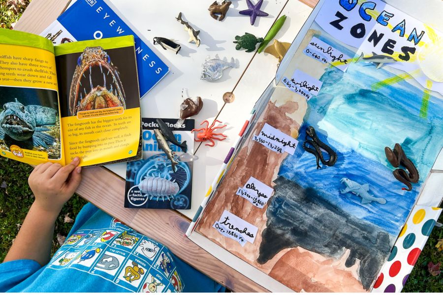 Ocean Unit Study for Homeschool: Explore the Deep Sea! – Knowledge Crates