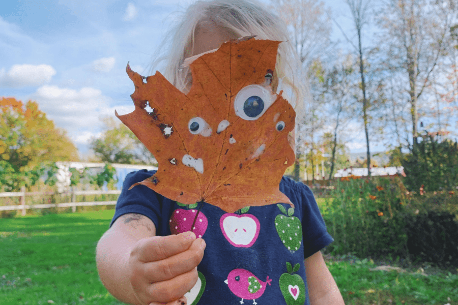 4 Easy Fall Nature Activities for Kids to Enjoy This Season – Knowledge ...