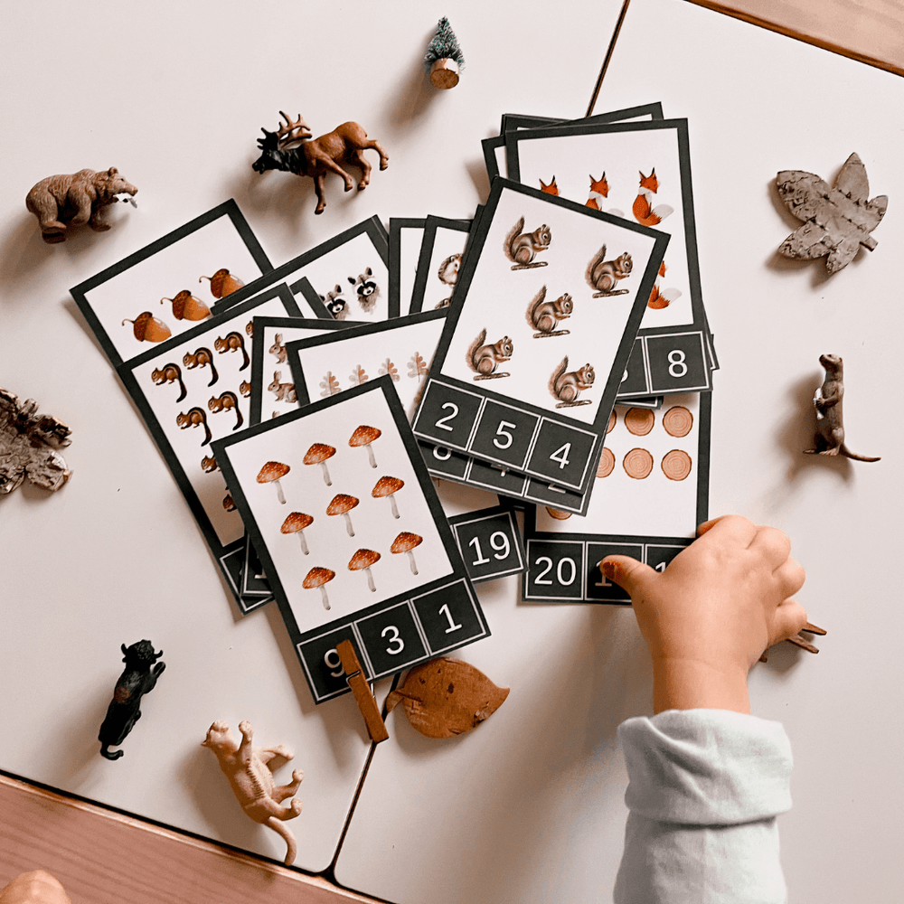 Digital Woodland Pack Preschool - Grade 1 – Knowledge Crates