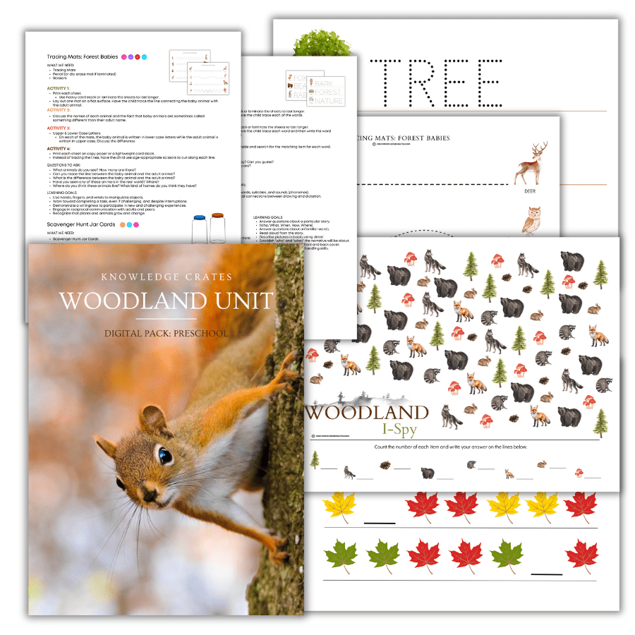 Digital Woodland Pack Preschool - Grade 1 – Knowledge Crates