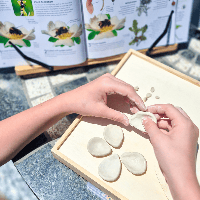 Explore Insects Unit Study for Elementary Homeschool – Knowledge Crates