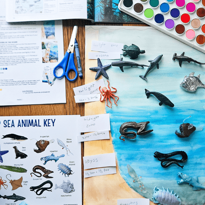 Explore the Ocean - Elementary Science Unit Study | Knowledge Crates